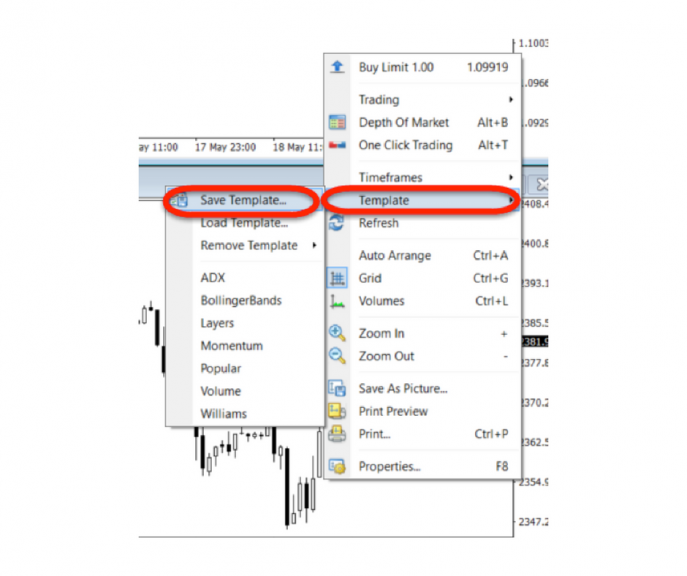 Overview of MetaTrader 4 (MT4) Platform
