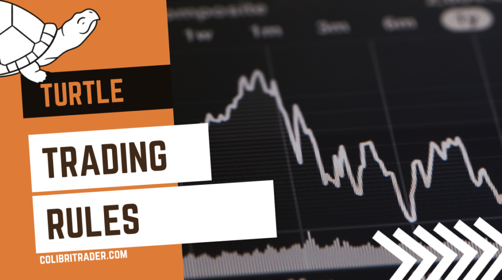 Turtle Trading Rules – Is This Strategy Still Working?